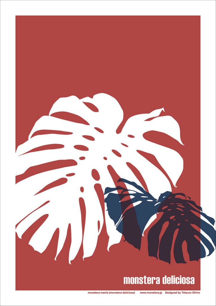 Poster – monstera deliciosa online shop